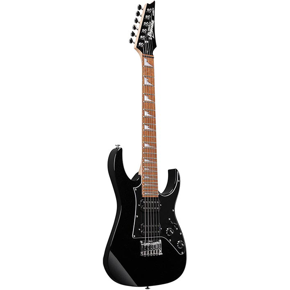 Electric Guitar